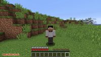 Cosmetic Armor Reworked Mod 1.16.4/1.15.2 (Become Anything ...