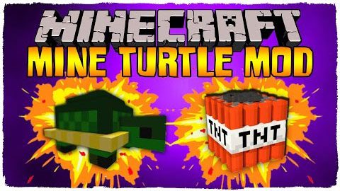 Mine Turtle Explosion