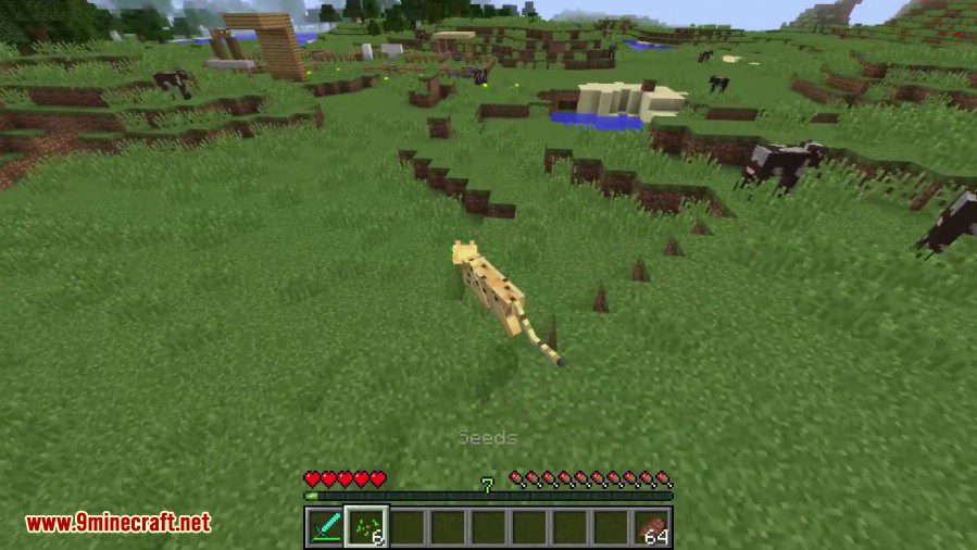 MetaMorph Mod (1.12.2, 1.11.2) - Morph into Vanilla Mobs - Mc-Mod.Net MetaMorph Mod (1.12.2, 1.11.2) - Morph into Vanilla Mobs - Mc-Mod.Net