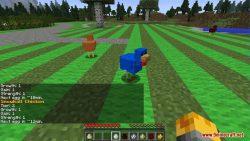 Chickens Mod 1.12.2/1.11.2 (Just a lot of Chickens) - 9Minecraft.Net