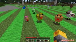 Chickens Mod 1.12.2/1.11.2 (Just a lot of Chickens) - 9Minecraft.Net