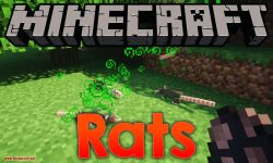 Rats Mod 1.16.4/1.15.2 (Awesome Mod About Rat) - 9Minecraft.Net