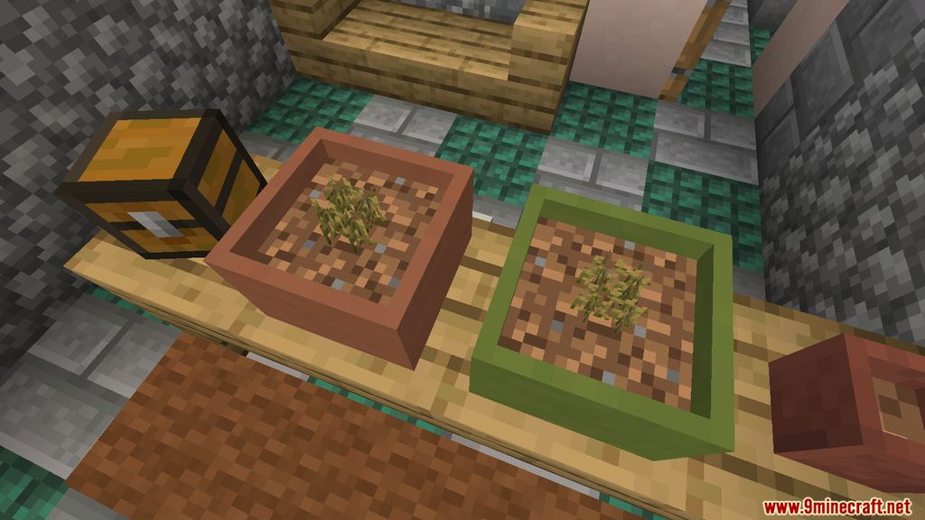 Botany Pots Mod 1192 1182 Growing In House Flowers Mc Modnet