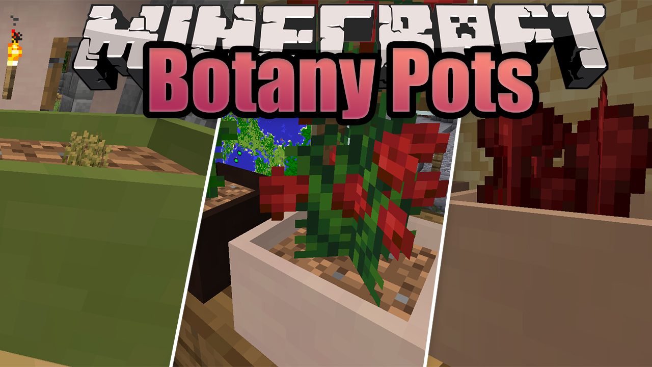 Botany Pots Mod 1192 1182 Growing In House Flowers Mc Modnet