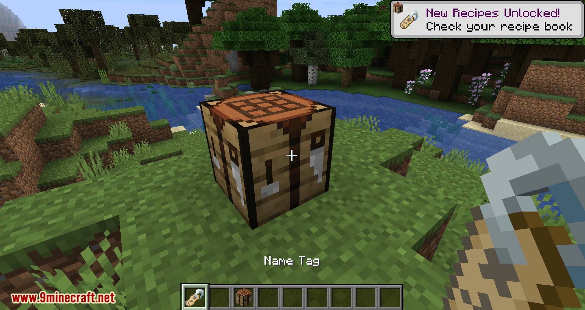 Name Tag Tweaks Mod 1 20 2 1 19 4 Craftable Retrievable NameTag 