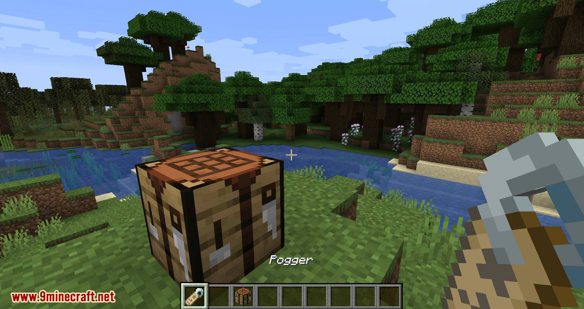 Name Tag Tweaks Mod 1 19 2 1 18 2 Craftable Retrievable NameTag