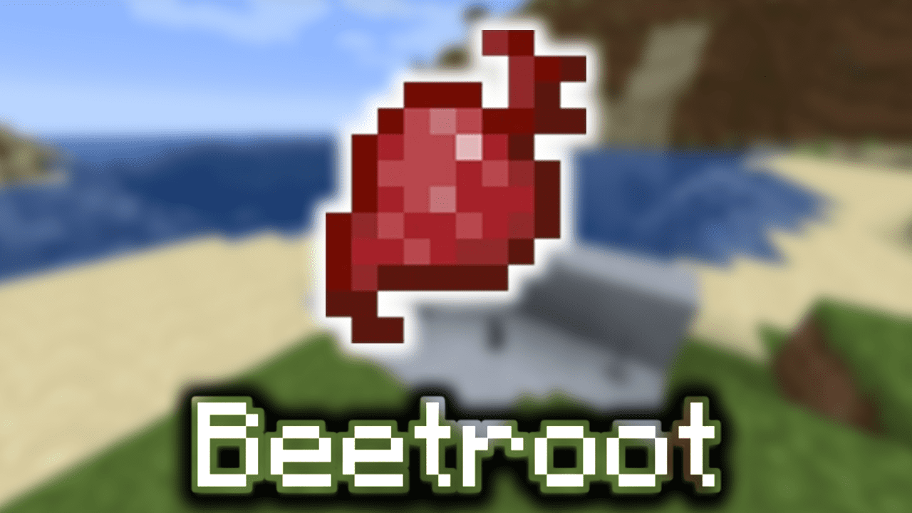Beetroot Minecraft