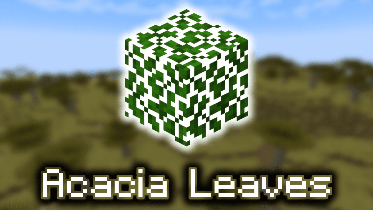 Acacia Leaves Minecraft
