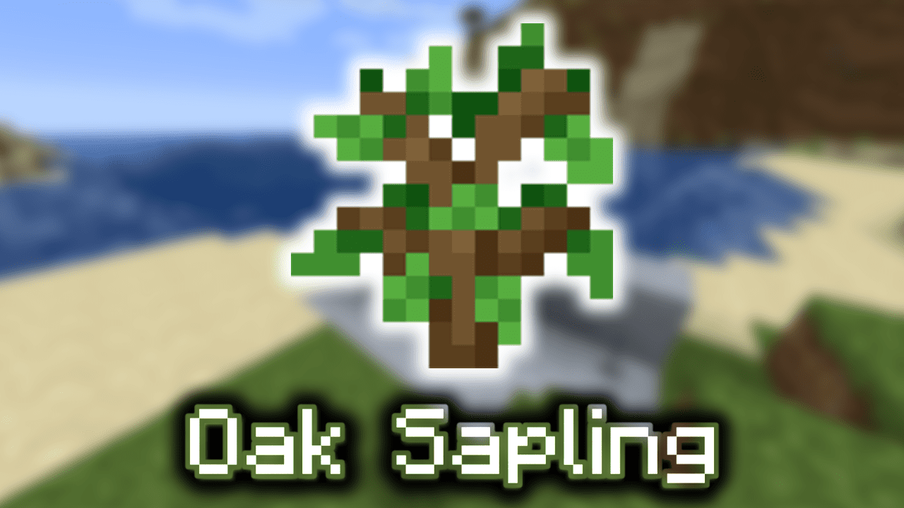 How To Get More Dark Oak Saplings at Donna Hammonds blog