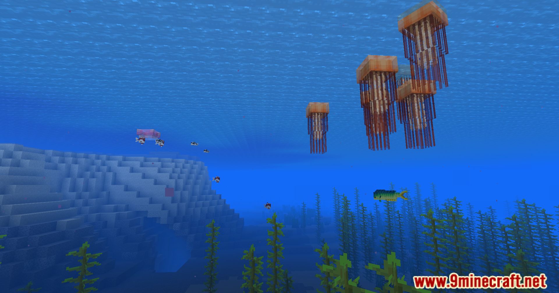 Hybrid Aquatic Mod (1.20.4, 1.19.4) – From Swamps To Sea Caves ...