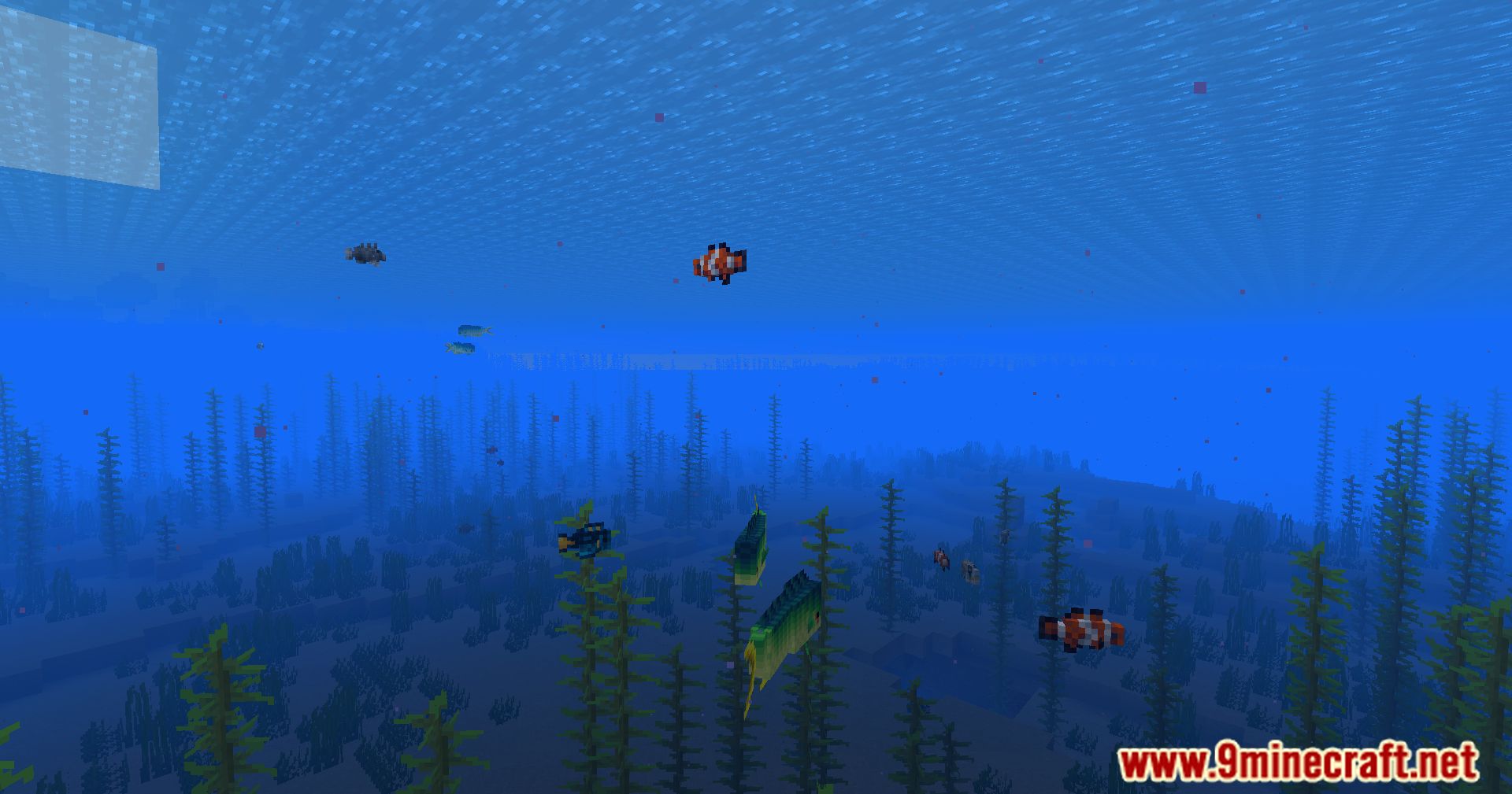 Hybrid Aquatic Mod (1.20.4, 1.19.4) – From Swamps To Sea Caves ...
