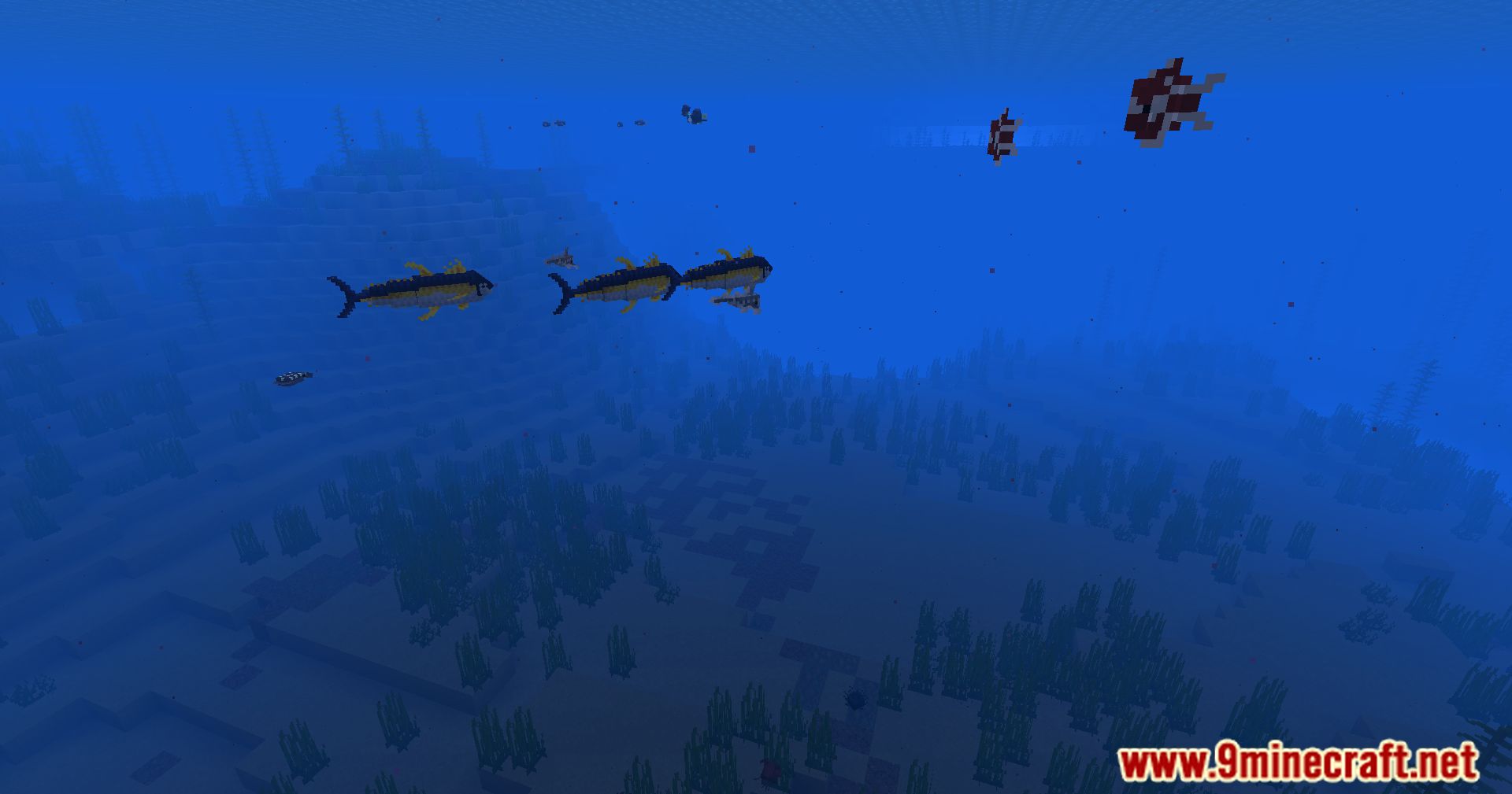 Hybrid Aquatic Mod (1.20.4, 1.19.4) – From Swamps To Sea Caves ...