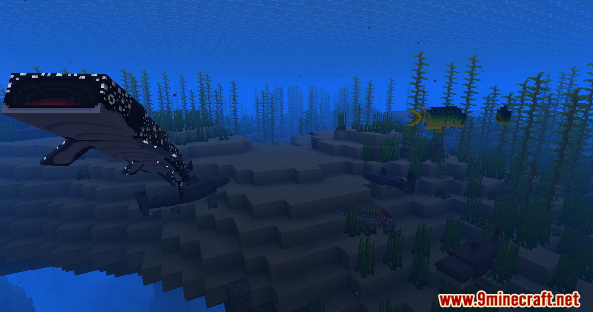 Hybrid Aquatic Mod (1.20.4, 1.19.4) – From Swamps To Sea Caves ...