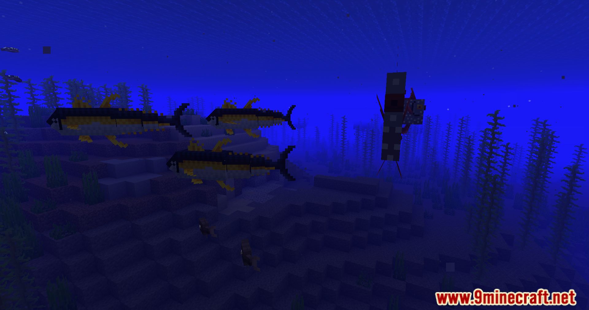 Hybrid Aquatic Mod (1.20.4, 1.19.4) – From Swamps To Sea Caves ...