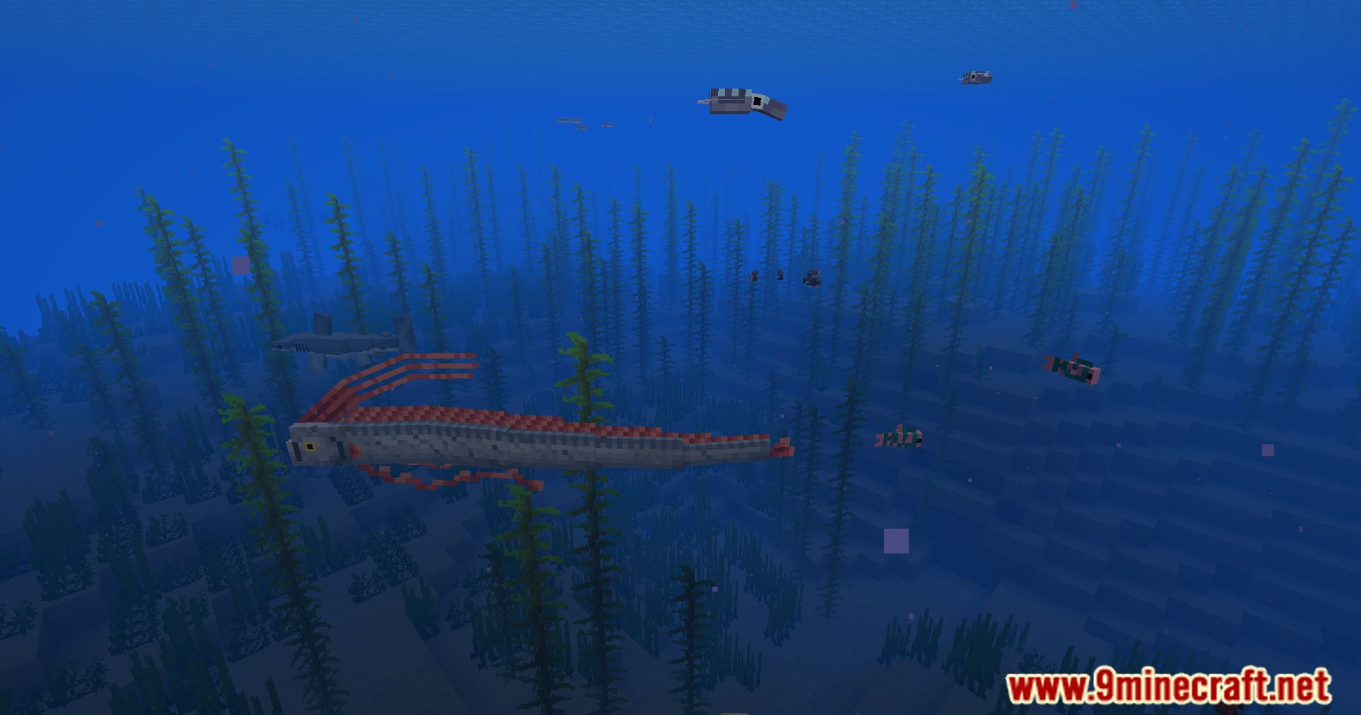 Hybrid Aquatic Mod (1.20.4, 1.19.4) – From Swamps To Sea Caves ...