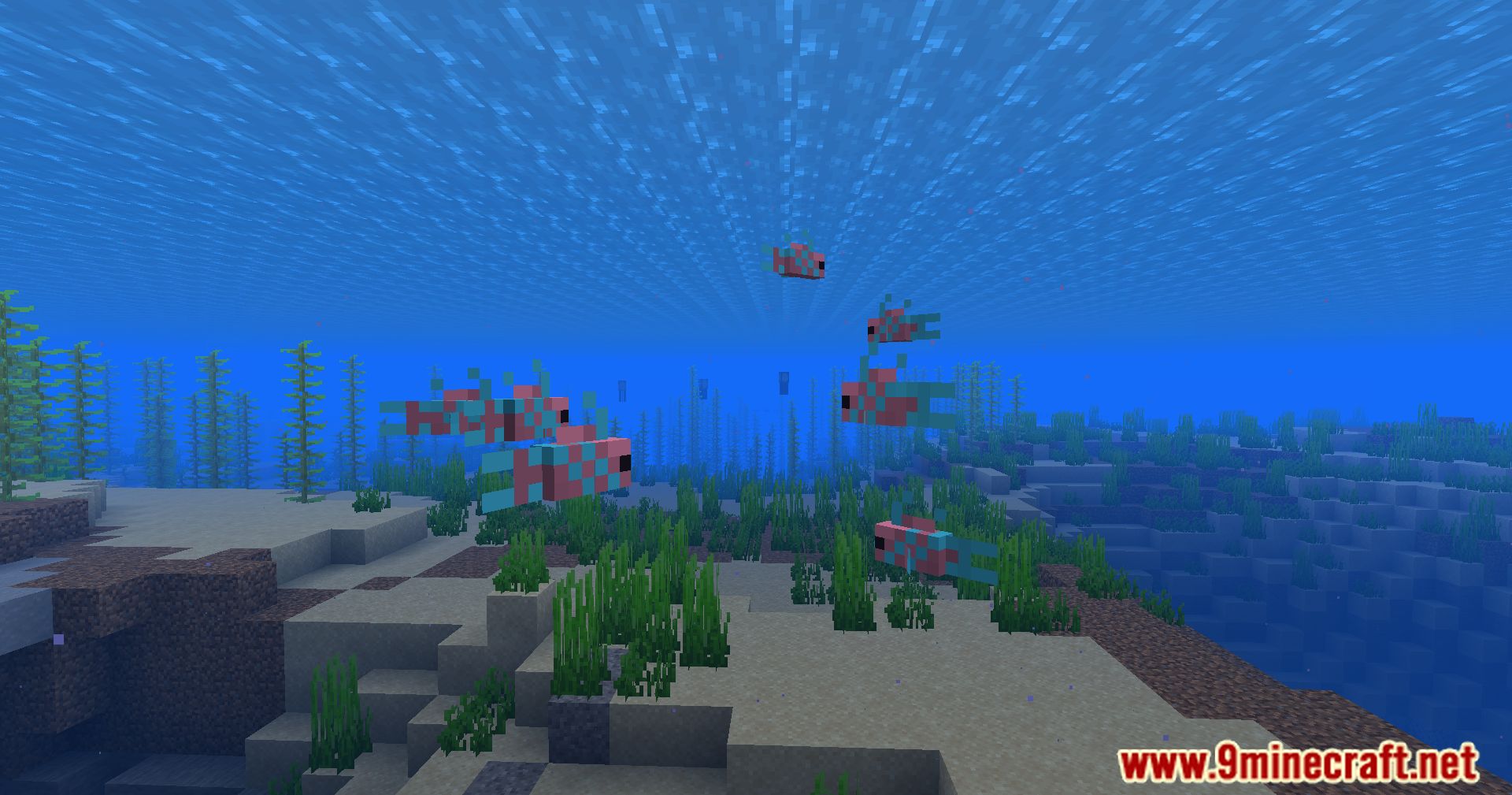 Hybrid Aquatic Mod (1.20.4, 1.19.4) – From Swamps To Sea Caves ...