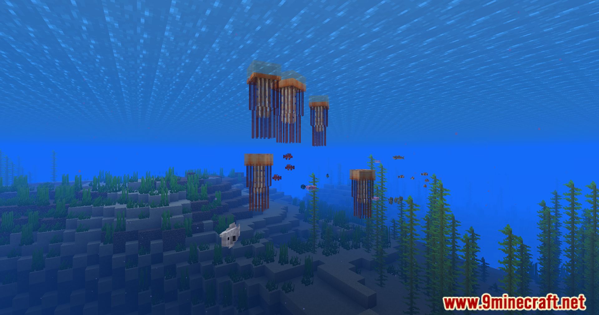 Hybrid Aquatic Mod (1.20.4, 1.19.4) – From Swamps To Sea Caves ...