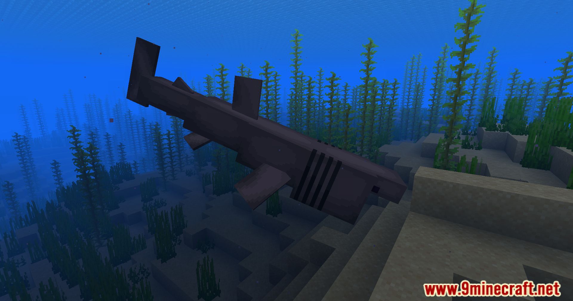 Hybrid Aquatic Mod (1.20.4, 1.19.4) – From Swamps To Sea Caves ...