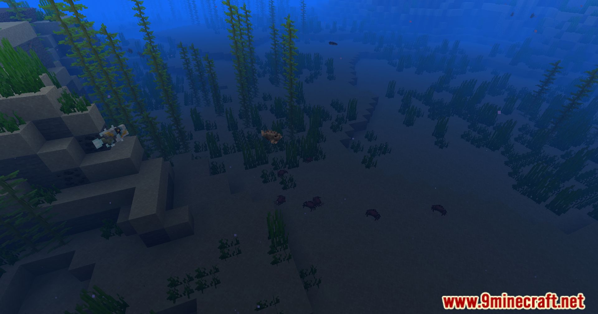 Hybrid Aquatic Mod (1.20.4, 1.19.4) – From Swamps To Sea Caves ...